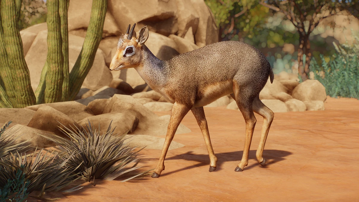 Kirk’s Dik-dik (bubblywums & LeafProductions) | Planet Zoo Modding Library Wiki | Fandom
