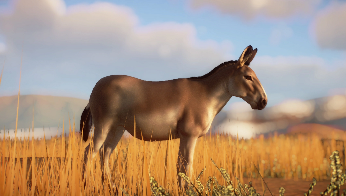 Category:Horses | Planet Zoo Modding Library Wiki | Fandom Category:Horses | Planet Zoo Modding Library Wiki | Fandom