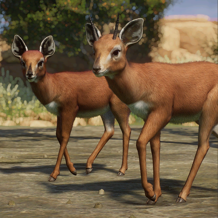 Steenbok (bubblywums & LeafProductions) | Planet Zoo Modding Library Wiki | Fandom