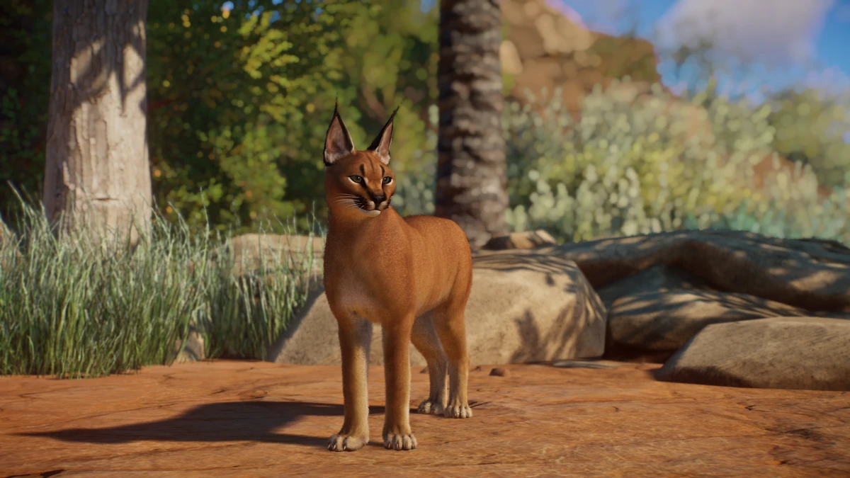 Caracal (Gabboi) | Planet Zoo Modding Library Wiki | Fandom