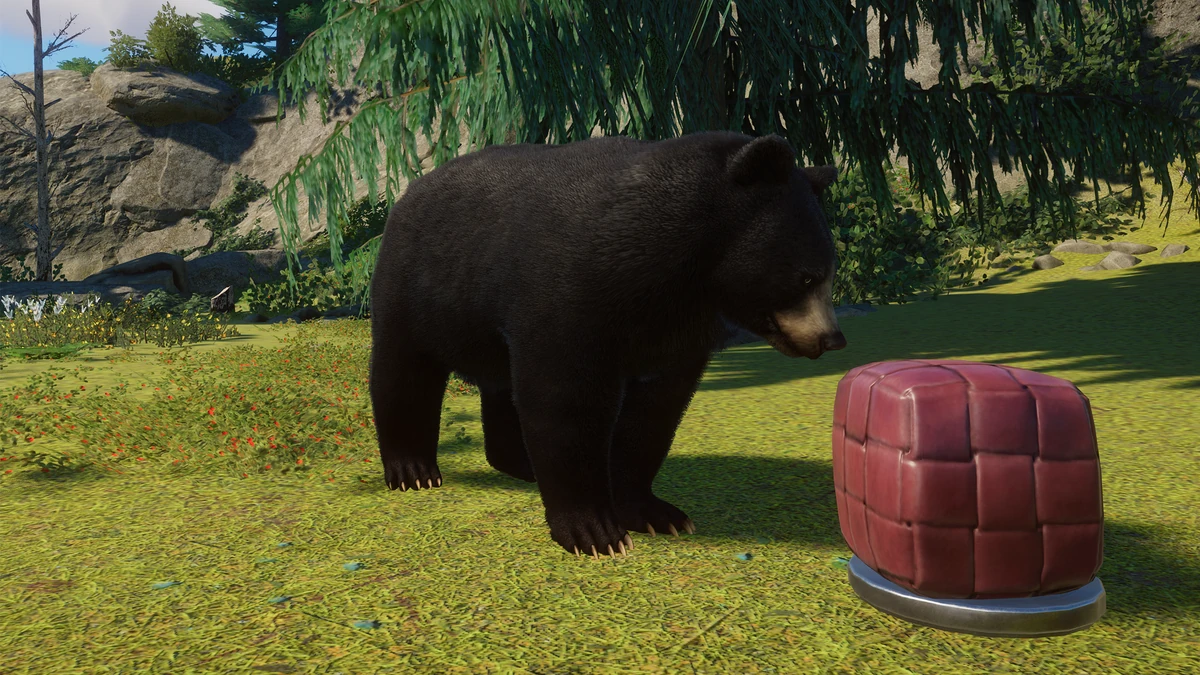 American Black Bear (imissios) | Planet Zoo Modding Library Wiki | Fandom