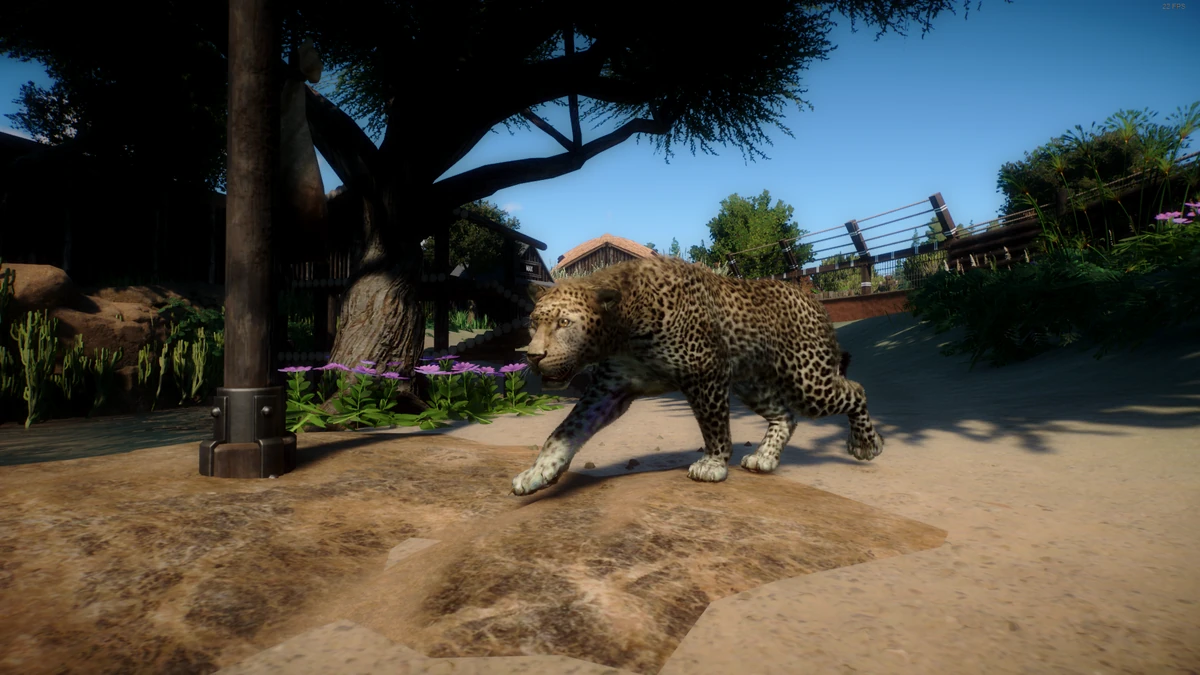 African Leopard (megagamingrex, Peacock2007, & Tosca) | Planet Zoo Modding Library Wiki | Fandom