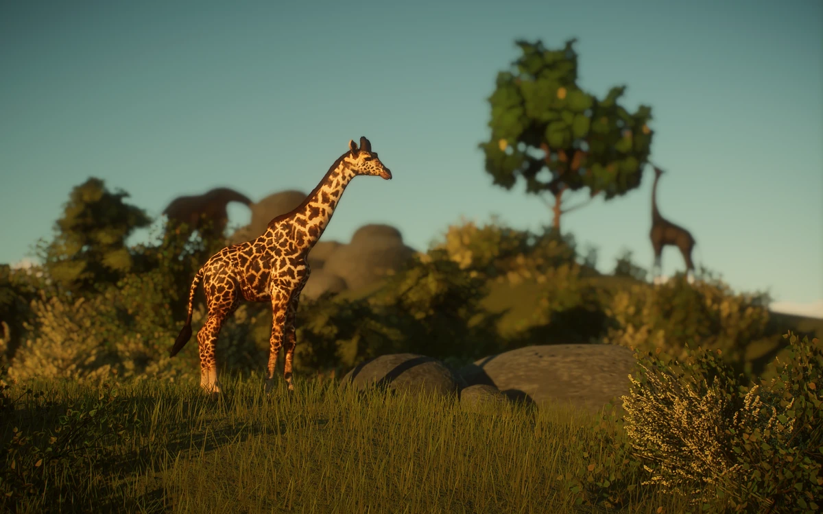 Masai Giraffe (LeafProductions & NicholasLionRider) | Planet Zoo Modding Library Wiki | Fandom