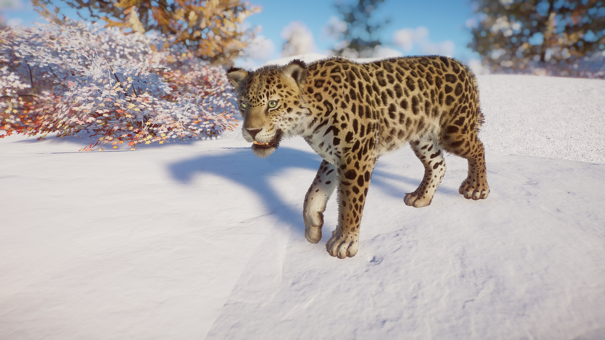 Amur Leopard (levelwolf) | Planet Zoo Modding Library Wiki | Fandom Amur Leopard (levelwolf) | Planet Zoo Modding Library Wiki | Fandom