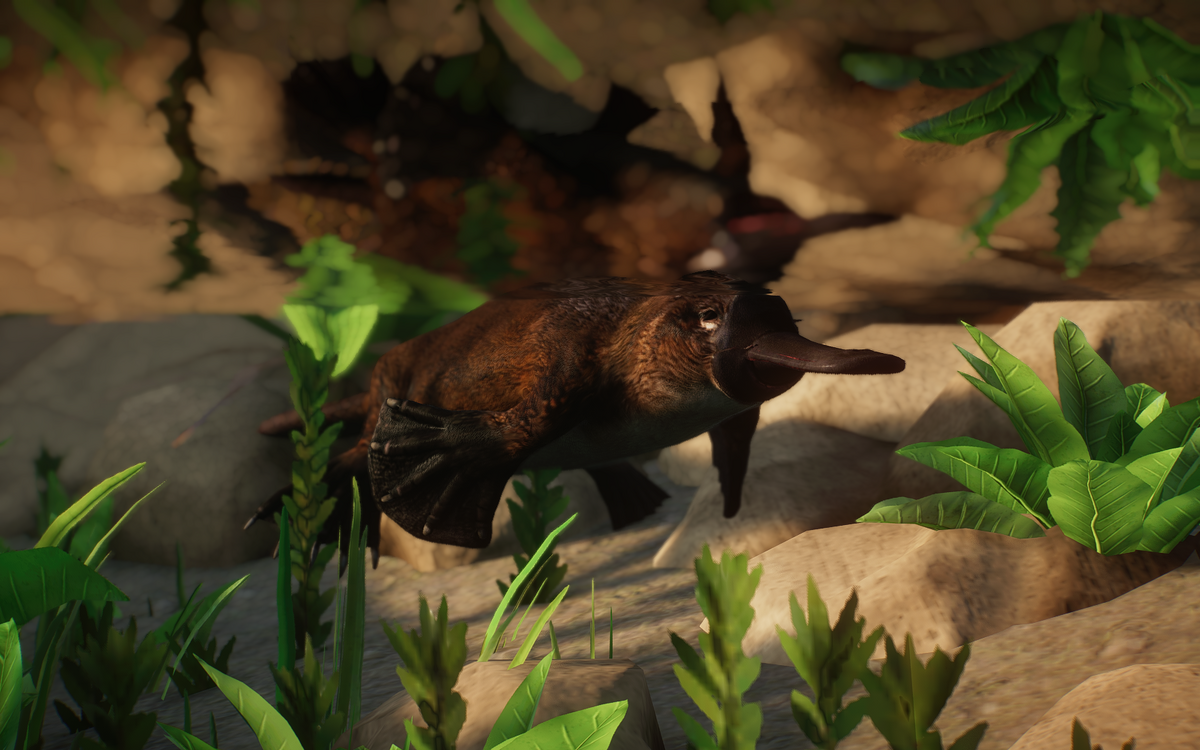 Category:NDP | Planet Zoo Modding Library Wiki | Fandom