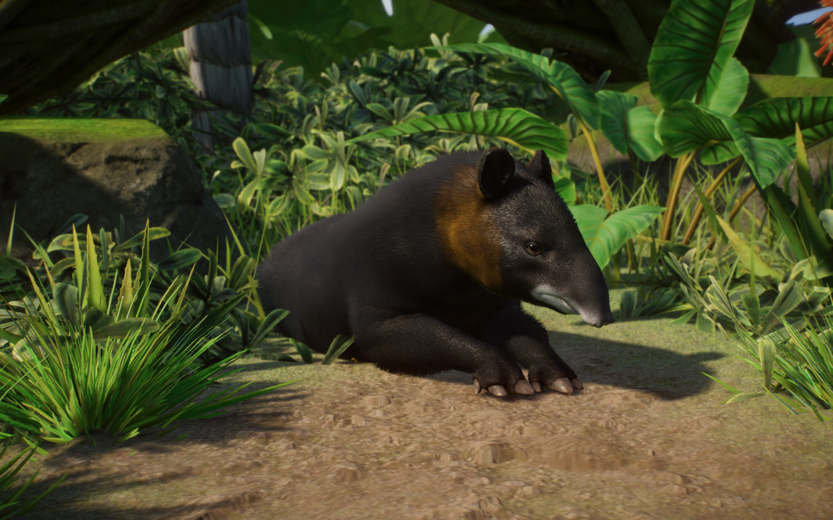 Mountain Tapir (LeafProductions) | Planet Zoo Modding Library Wiki | Fandom