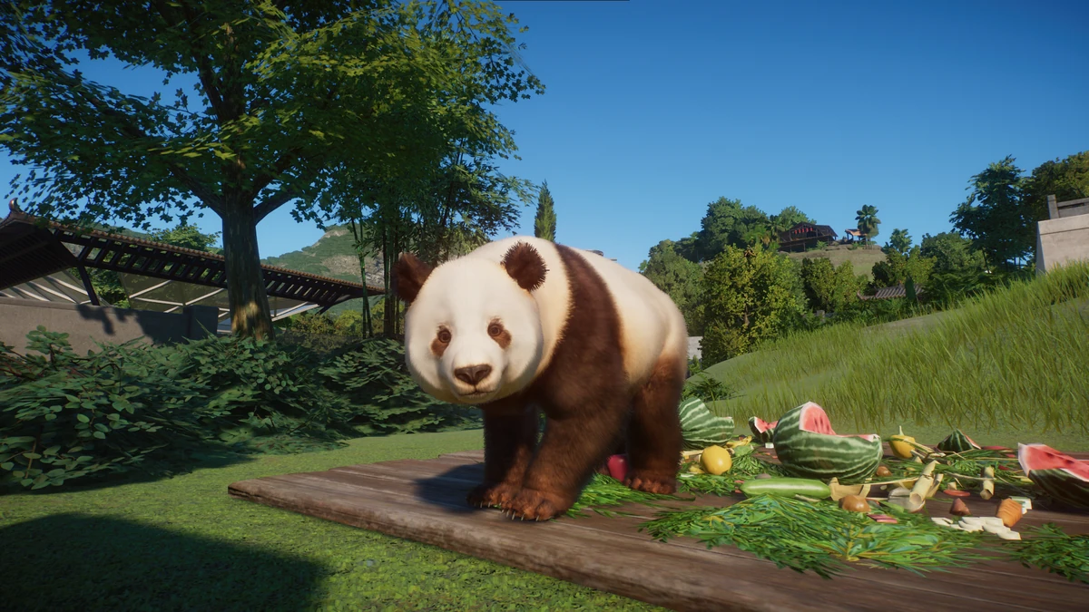 Qinling Panda (Haruka Ichinose) | Planet Zoo Modding Library Wiki | Fandom