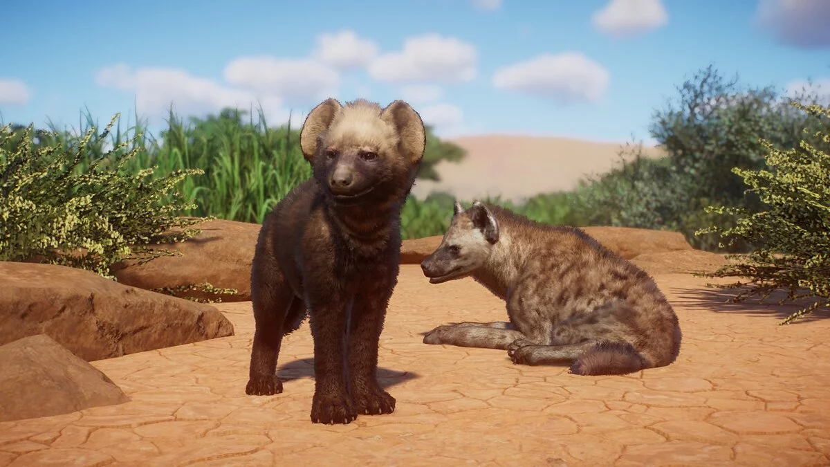 Animal Remaster | Planet Zoo Modding Library Wiki | Fandom