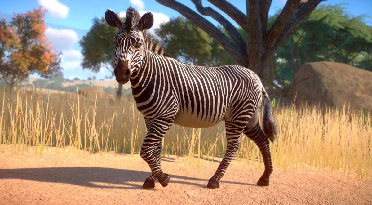 Grévy's Zebra (Mergiee) | Planet Zoo Modding Library Wiki | Fandom