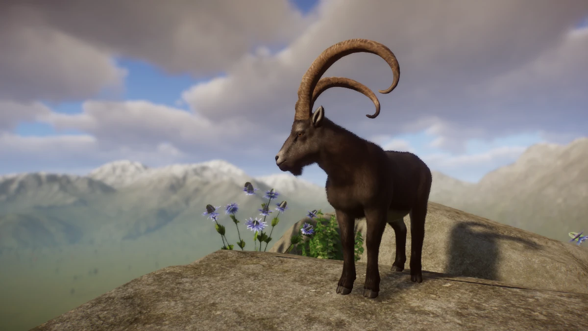 Alpine Ibex (Julio Lacerda & Narwhaler) | Planet Zoo Modding Library Wiki | Fandom