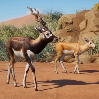 Blackbuck (bubblywums & LeafProductions) | Planet Zoo Modding Library Wiki | Fandom