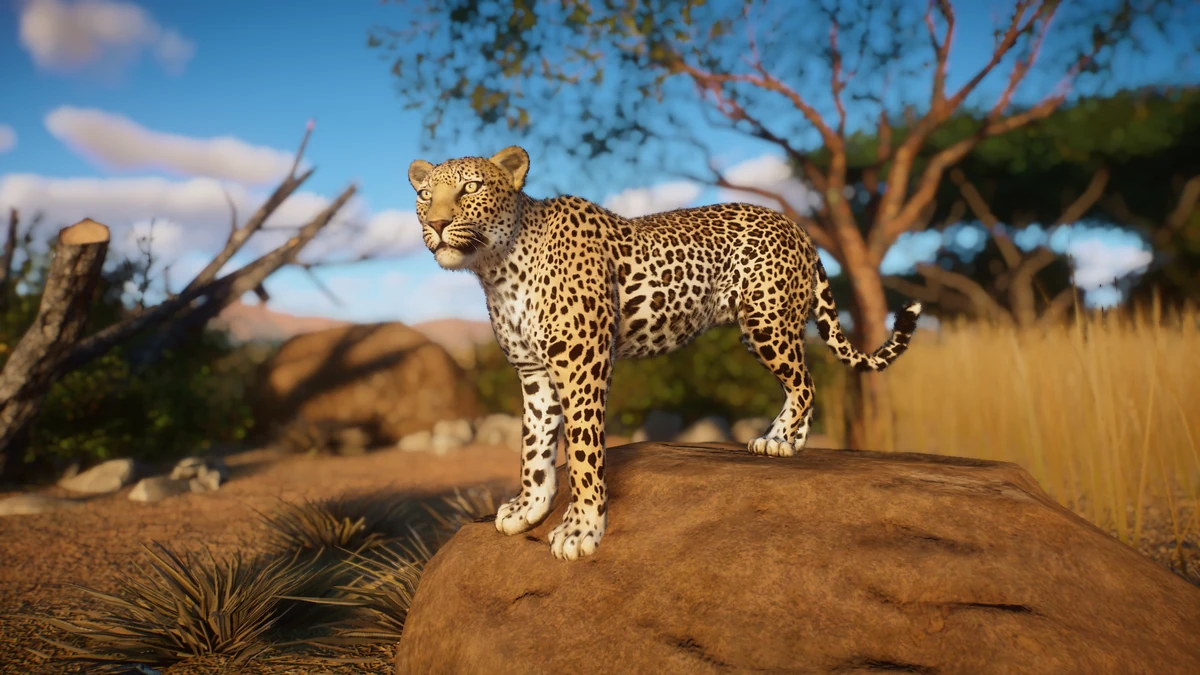 Category:Desert Animals | Planet Zoo Modding Library Wiki | Fandom