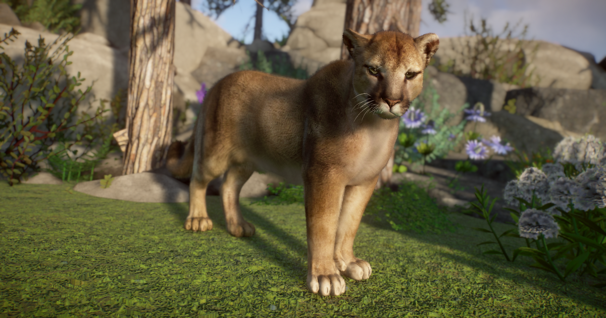 North American Cougar (Mergiee) | Planet Zoo Modding Library Wiki | Fandom