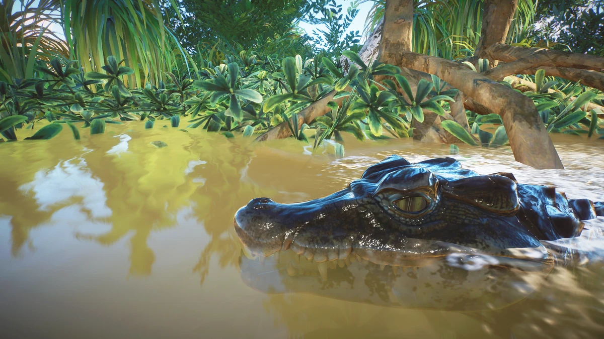 Spectacled Caiman (WyzerMods) | Planet Zoo Modding Library Wiki | Fandom