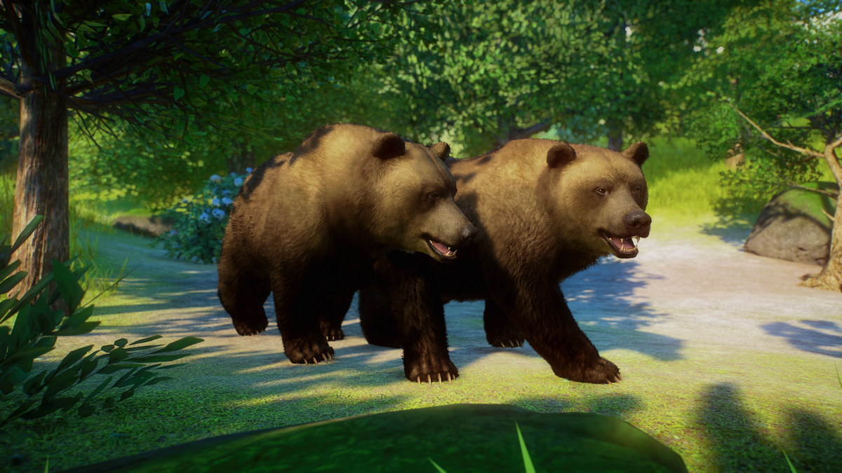 Eurasian Brown Bear (Gabboi & Havok1199) | Planet Zoo Modding Library Wiki | Fandom