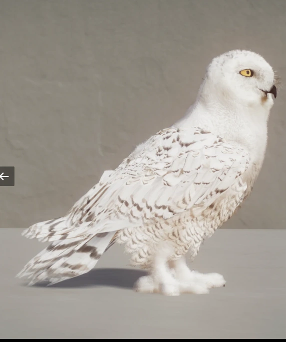 Lawn Snowy Owl (GreatCakeMods) | Planet Zoo Modding Library Wiki | Fandom