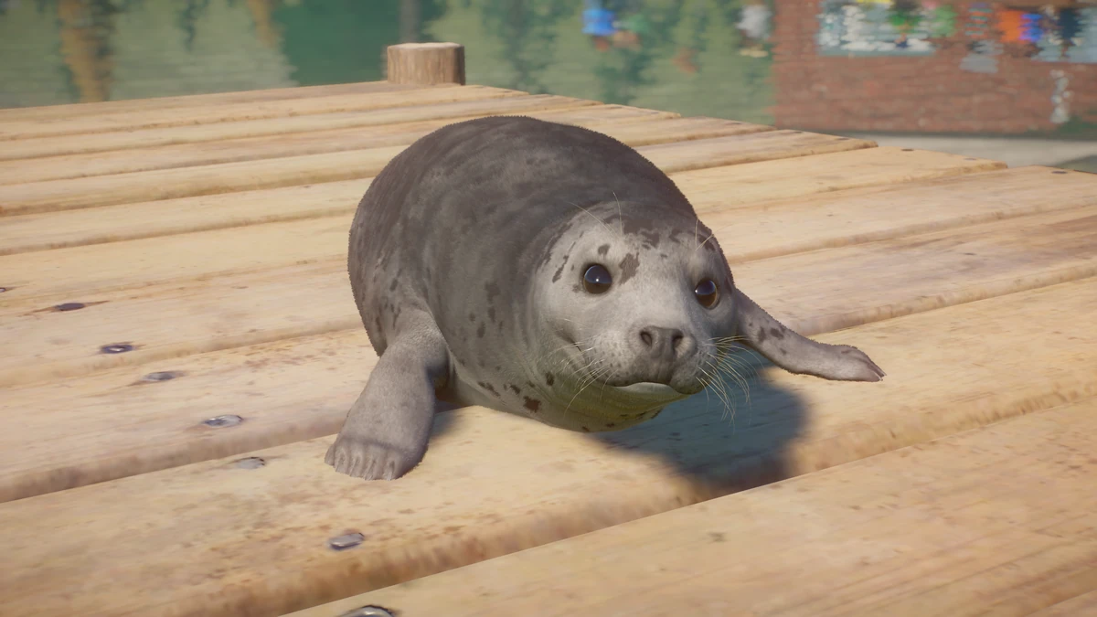 Harbor Seal (Tompsognathus) | Planet Zoo Modding Library Wiki | Fandom