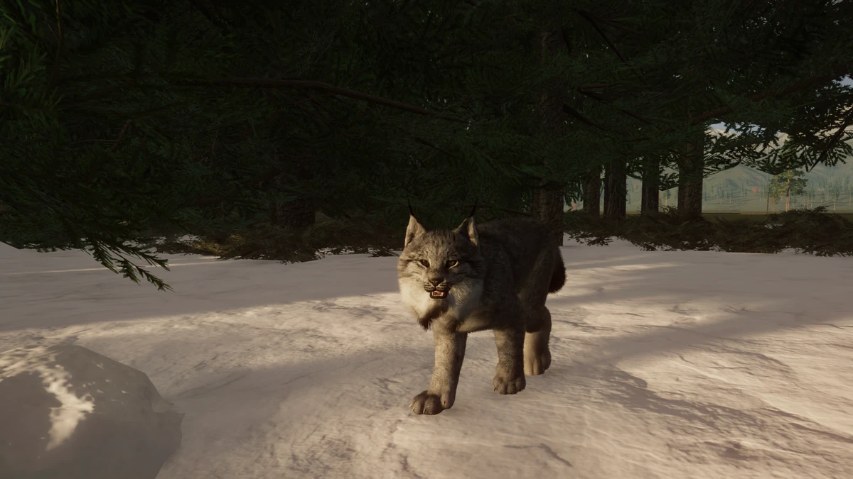 Canada Lynx (imissios) | Planet Zoo Modding Library Wiki | Fandom