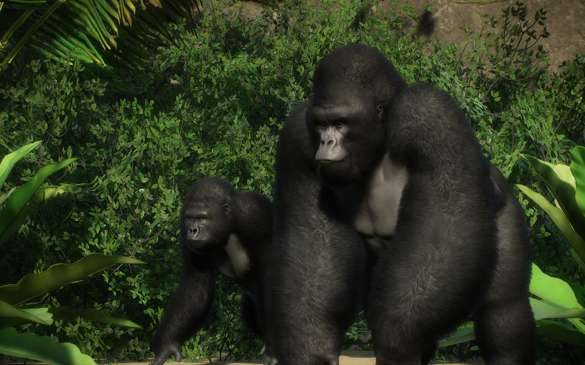 Mountain Gorilla (LeafProductions & NicholasLionRider) | Planet Zoo Modding Library Wiki | Fandom
