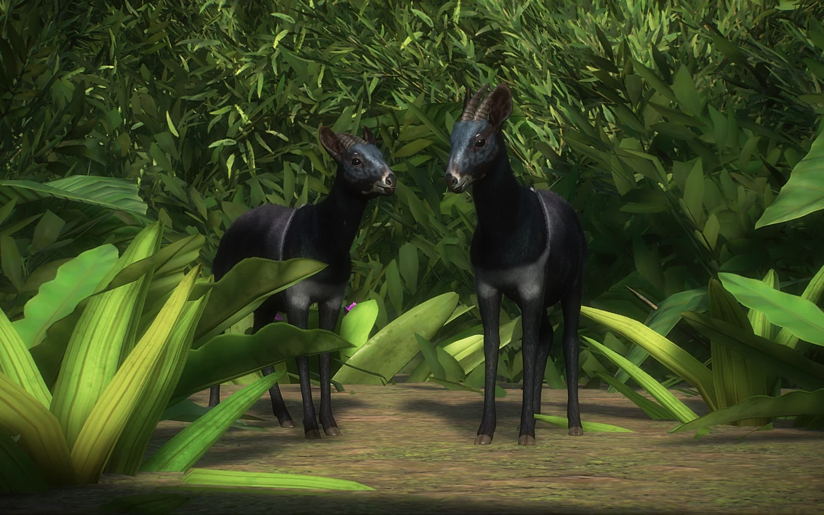 Jentink's Duiker (LeafProductions) | Planet Zoo Modding Library Wiki | Fandom