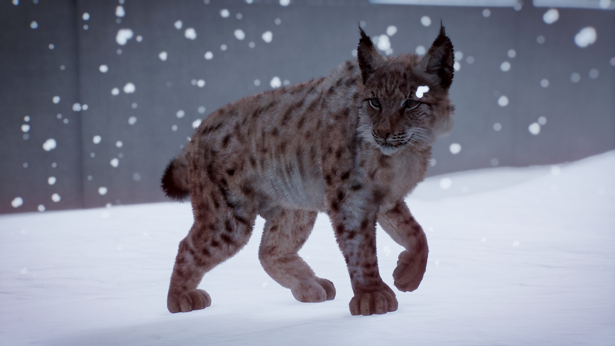 Eurasian Lynx (Mergiee & NicholasLionRider) | Planet Zoo Modding Library Wiki | Fandom
