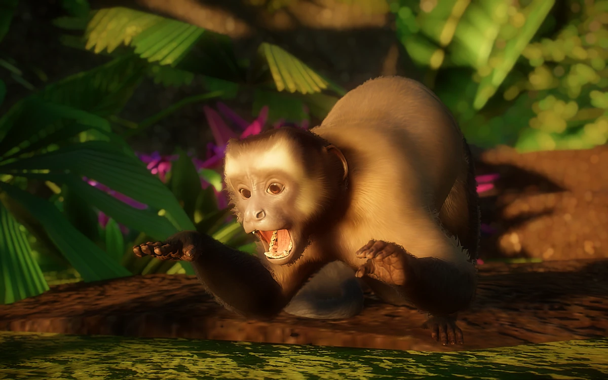 Tufted Capuchin Monkey (LeafProductions) | Planet Zoo Modding Library Wiki | Fandom