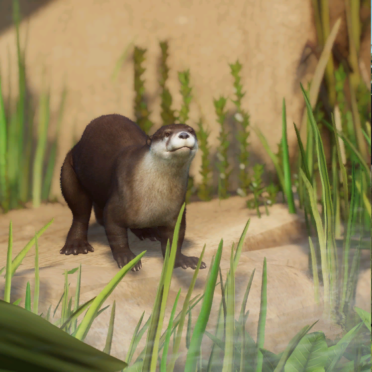 Category:Mustelids | Planet Zoo Modding Library Wiki | Fandom Category:Mustelids | Planet Zoo Modding Library Wiki | Fandom