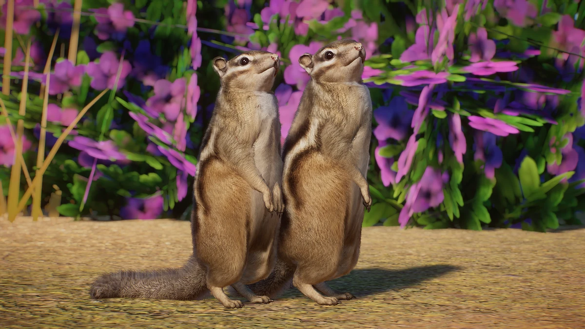 Eastern Chipmunk (bubblywums & LeafProductions) | Planet Zoo Modding Library Wiki | Fandom