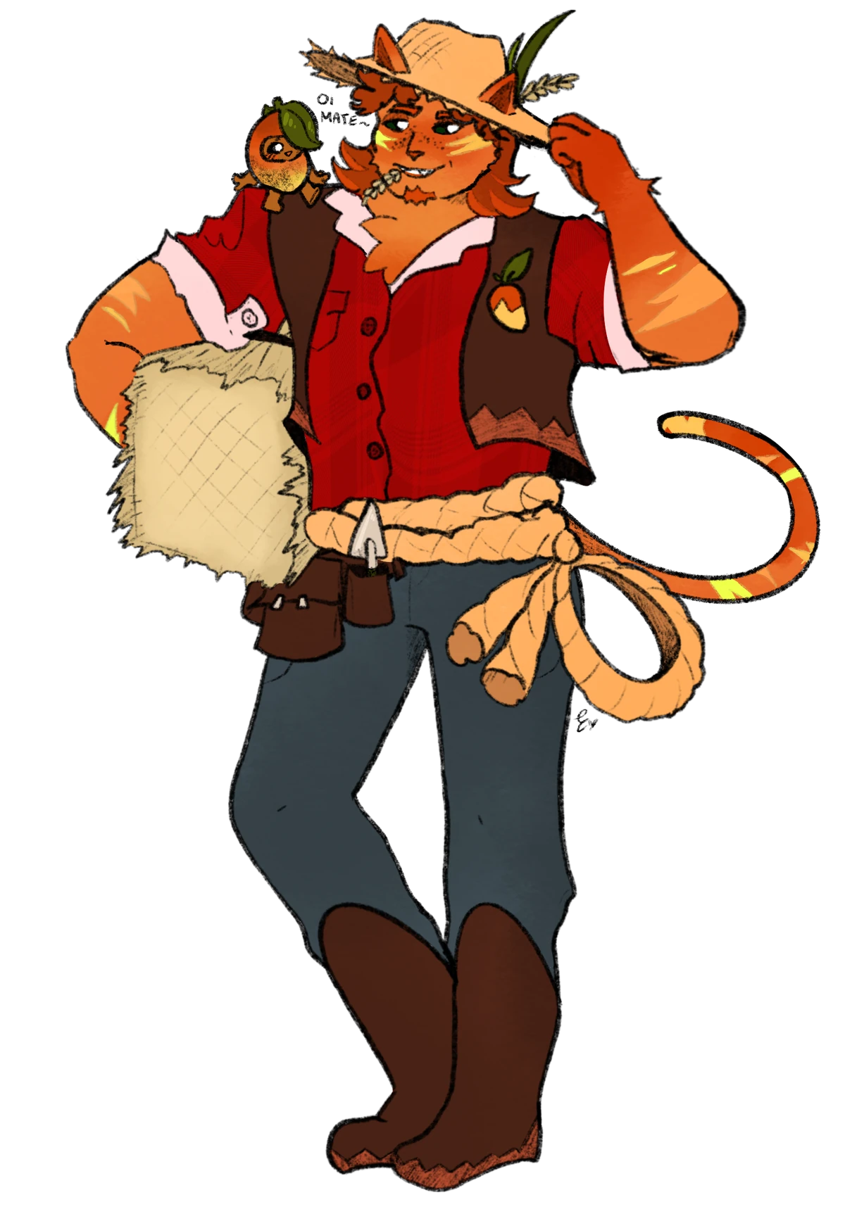 Mango Cat | Plant Cats Wiki | Fandom