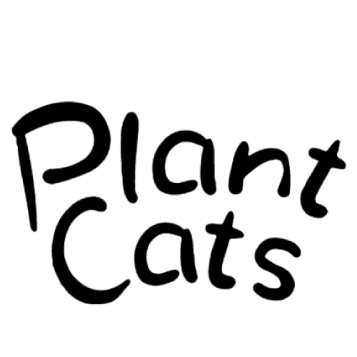 Calabash Cat | Plant Cats Wiki | Fandom