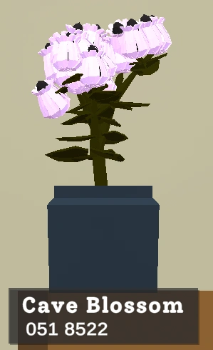 Seed 051 8522 | Plant Daddy Wiki | Fandom