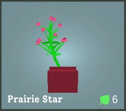 Category:Prairie Star | Plant Daddy Wiki | Fandom