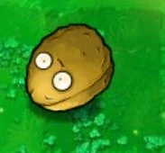 Nuez | Wiki Plantas contra Zombis | Fandom