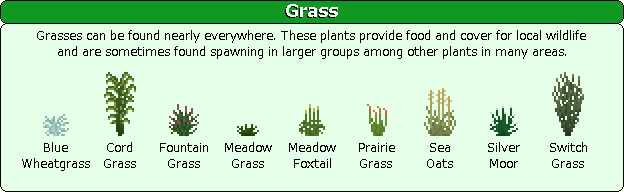 Grass | Plant Mega Pack Wiki | Fandom