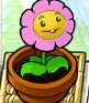 Marigold Pink | Plants Vs Zombies Personajes Wiki | Fandom