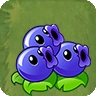 Blueberry Shooters | Plants vs. Zombies Roleplay Wiki | Fandom