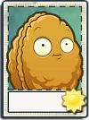 Wall-nut | Plants VS Zombies Universe Wiki | Fandom