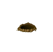 Potato Mine | Plants VS Zombies Universe Wiki | Fandom