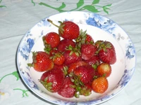 Strawberry | Plants Wiki | Fandom