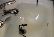 Zombie Temp Worker | Plants vs. Zombies Wiki | Fandom