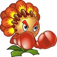 Banksia Boxer | Plants vs. Zombies Wiki | Fandom