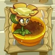 Buttercup (Plants vs. Zombies 2) | Plants vs. Zombies Wiki | Fandom