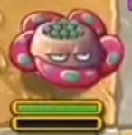 Rafflesia line/Gallery | Plants vs. Zombies Wiki | Fandom