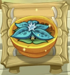 Boingsetta/Gallery | Plants vs. Zombies Wiki | Fandom