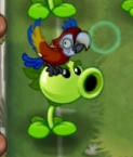 Zombie Parrot | Plants vs. Zombies Wiki | Fandom