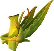 Commando Pea | Plants vs. Zombies Wiki | Fandom