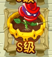 Rose line | Plants vs. Zombies Wiki | Fandom