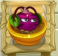 Phat Beet/Gallery | Plants vs. Zombies Wiki | Fandom