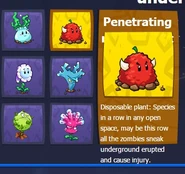 Lychee Drill | Plants vs. Zombies Wiki | Fandom