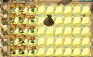 Buttercup (Plants vs. Zombies 2) | Plants vs. Zombies Wiki | Fandom